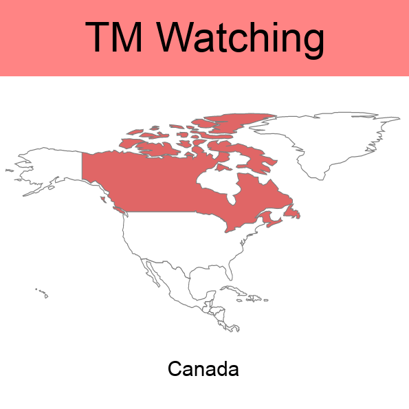 Trademark Watch Services – The Trademark Watch Company